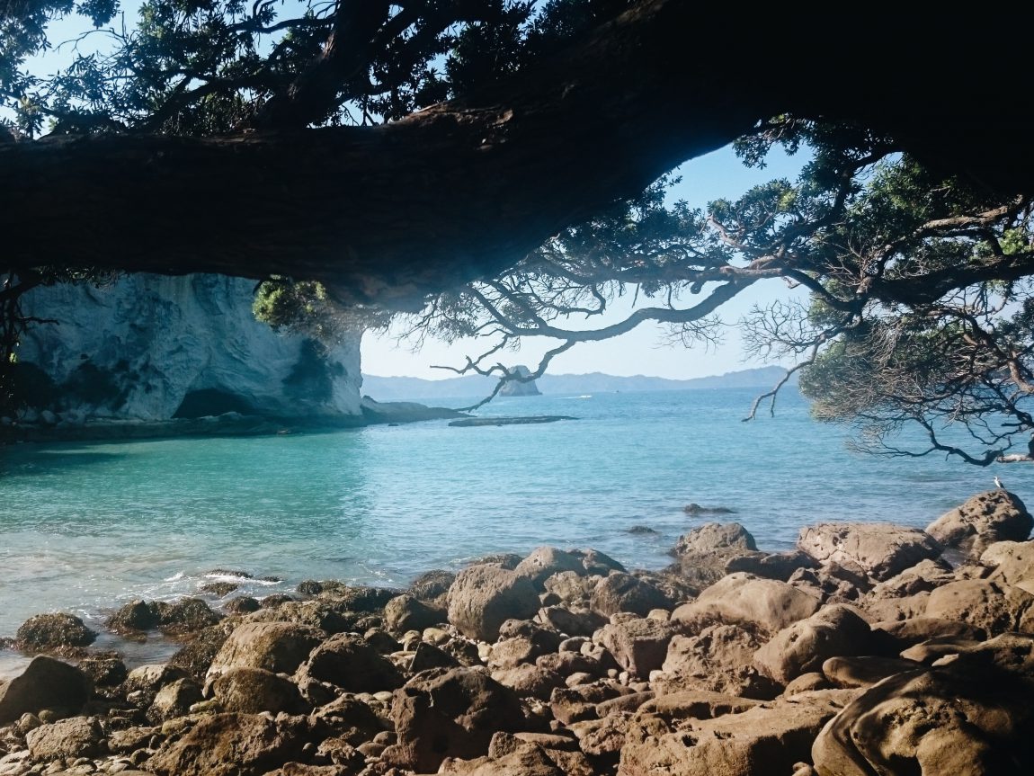 Top 10 Best Instagram Spots in New Zealand 2020 - Wanderful Stories